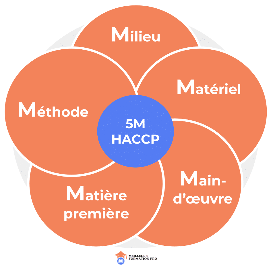 La M thode Des 5M HACCP Comment Sert elle L Hygi ne Alimentaire La M thode Des 5M HACCP Comment Sert elle L Hygi ne Alimentaire
